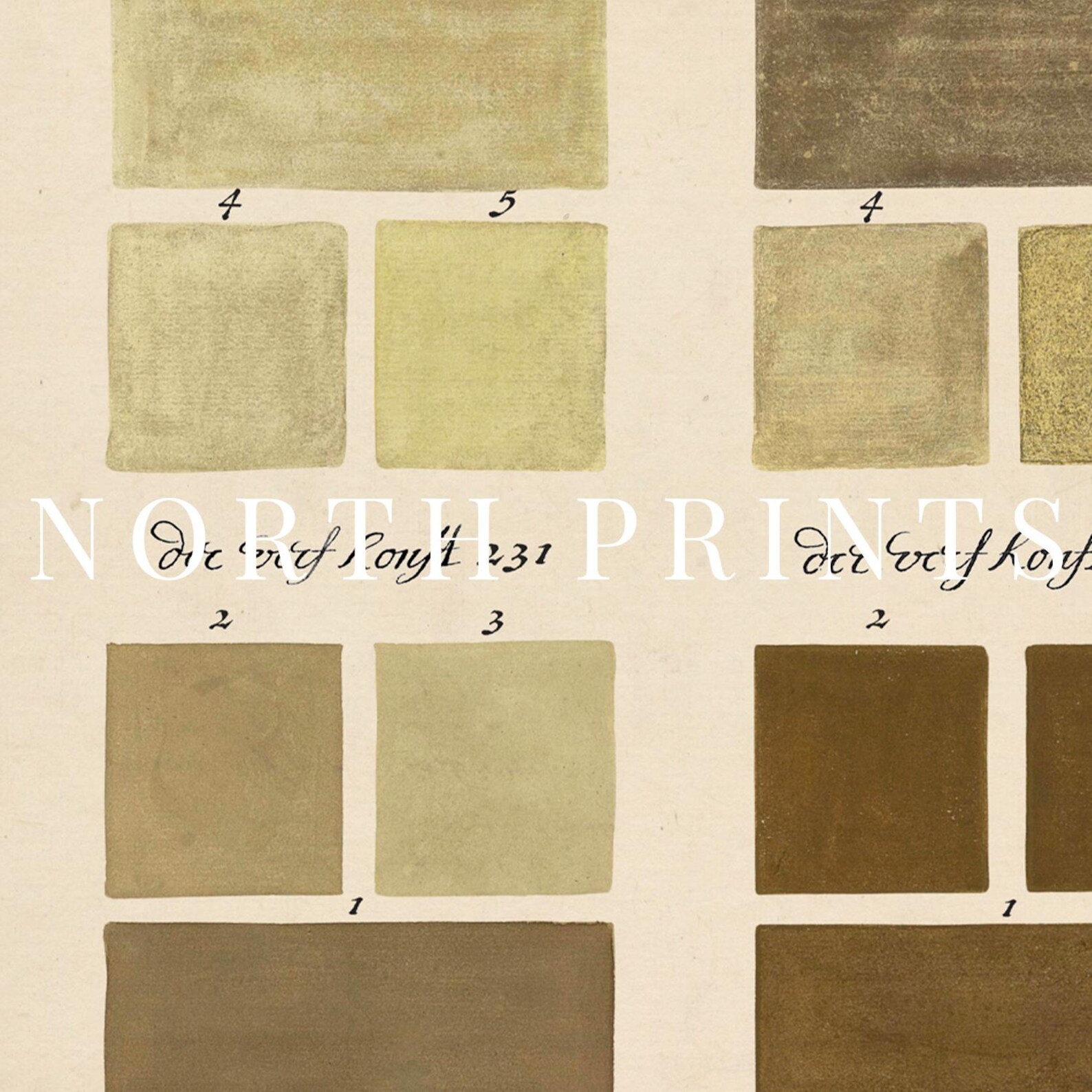 Vintage Neutral Color Chart Print: Farmhouse Nursery Wall Decor ...