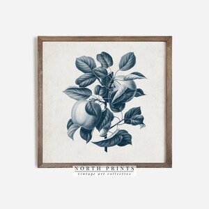 SQUARE Botanical Gallery Wall Print SET of Six | Dark Blue Farmhouse ...