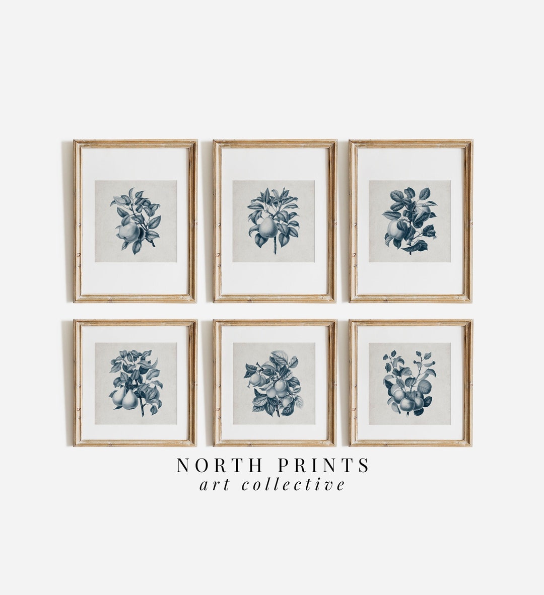 SQUARE Botanical Gallery Wall Print SET of Six | Dark Blue Farmhouse ...