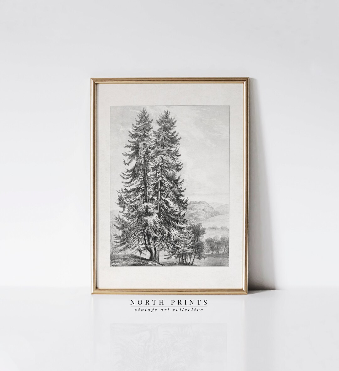 Rustic Pine Tree Landscape | Vintage Sketch Wall Art | North Prints ...