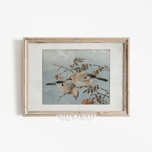 Antique Bird Art Print | Vintage Farmhouse Decor Nursery PRINTABLE ...