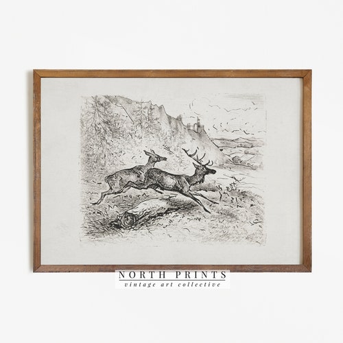Vintage Sketch Drawing Antique Deer Sketch Printable Wall - Etsy