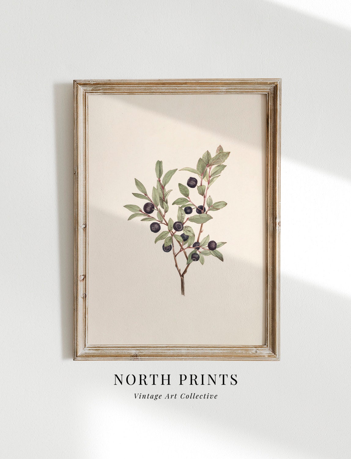 Vintage Botanical Print Antique Berry Country Farmhouse | Etsy