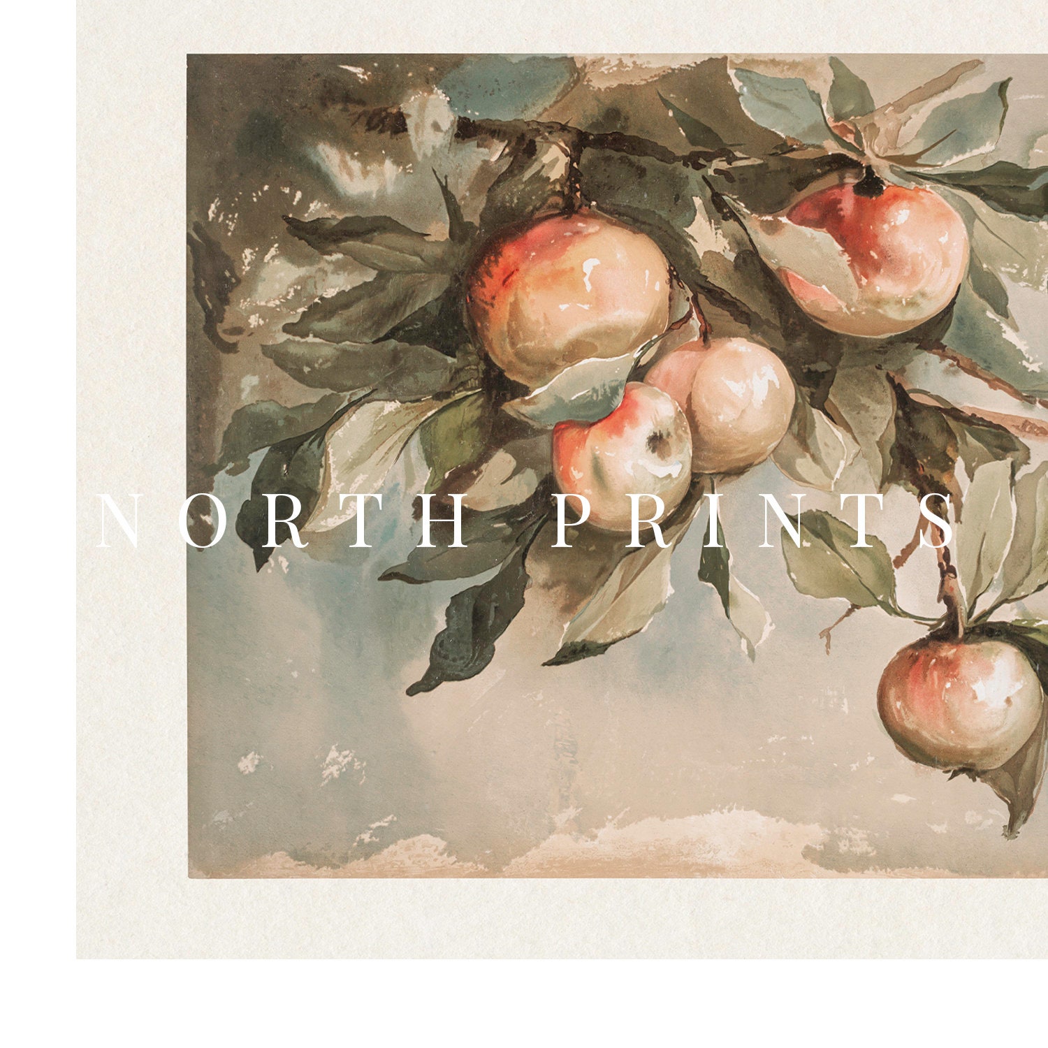Vintage Apple Tree Print | Rustic Farmhouse Kitchen Decor Painting ...