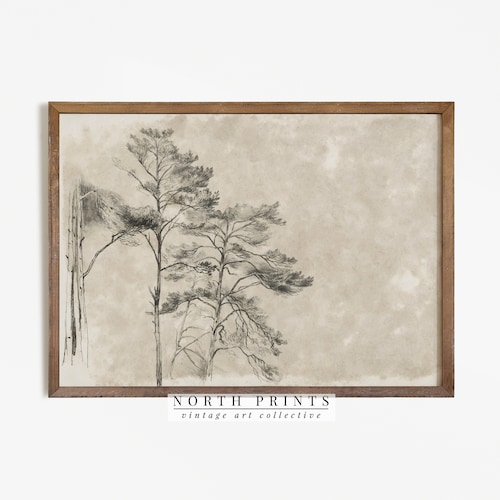 Antique Rustic Tree Sketch Neutral Vintage Digital Art | Etsy
