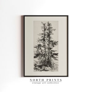 Antique Tree Sketch Print SET | Neutral Rustic Cabin Decor | North ...