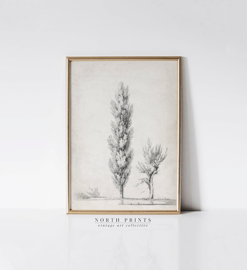 Minimalist Antique Tree Sketch Art Neutral Landscape Drawing - Etsy