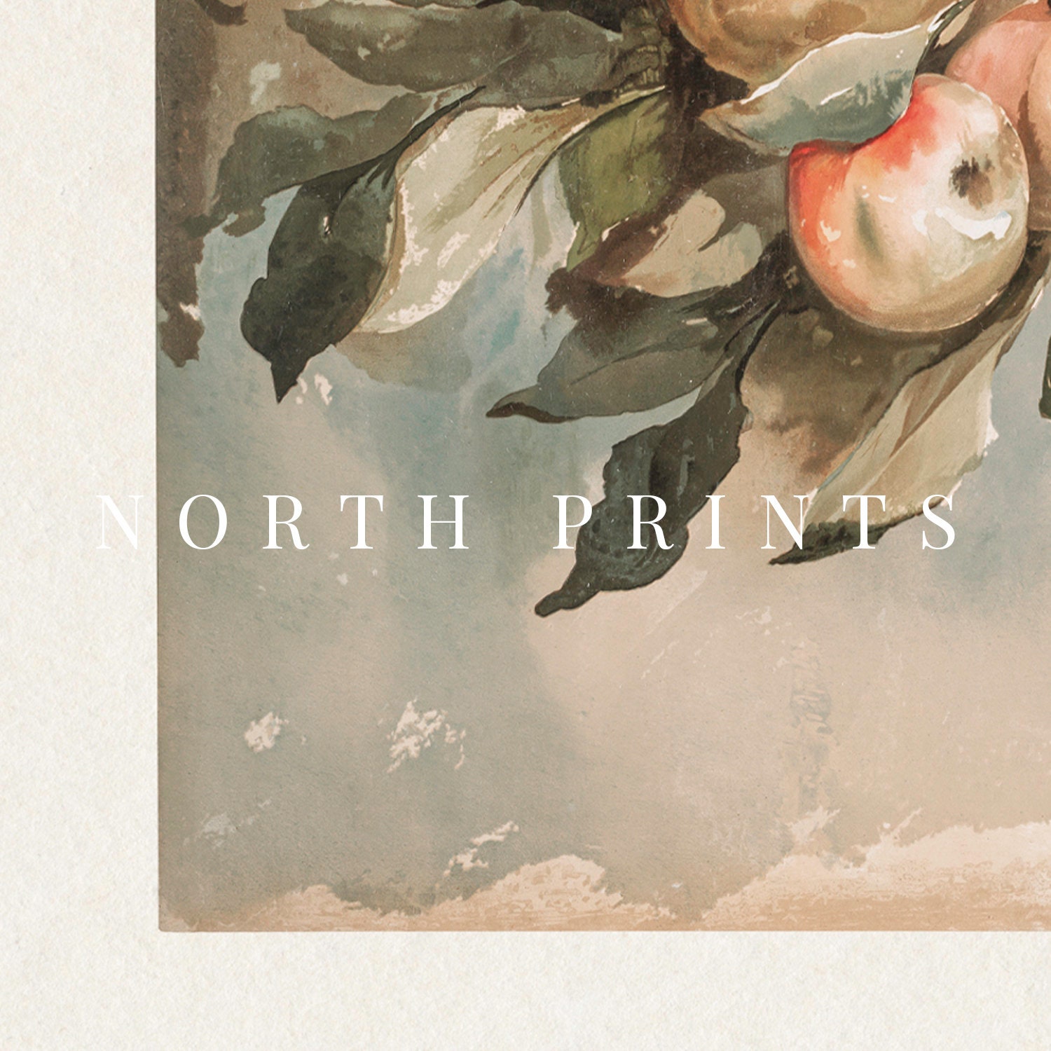 Vintage Apple Tree Print Rustic Farmhouse Kitchen Decor - Etsy