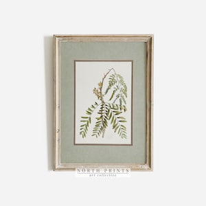 Vintage Botanical Gallery Wall Art SET of Six | Country Art Prints for ...