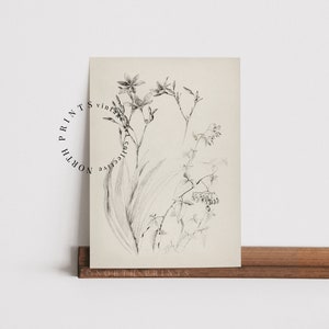 PRINTABLE Digital Wall Art Prints | Vintage Gallery Wall SET of 7 ...