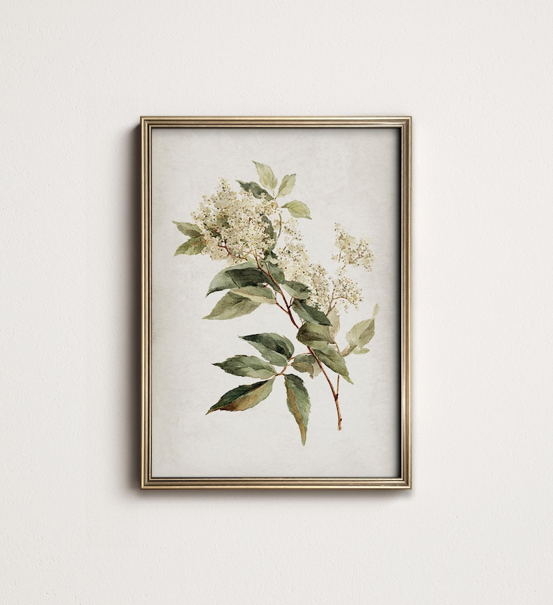 Botanical Watercolor Wall Art Print, Vintage Floral PRINTABLE, Minimal ...