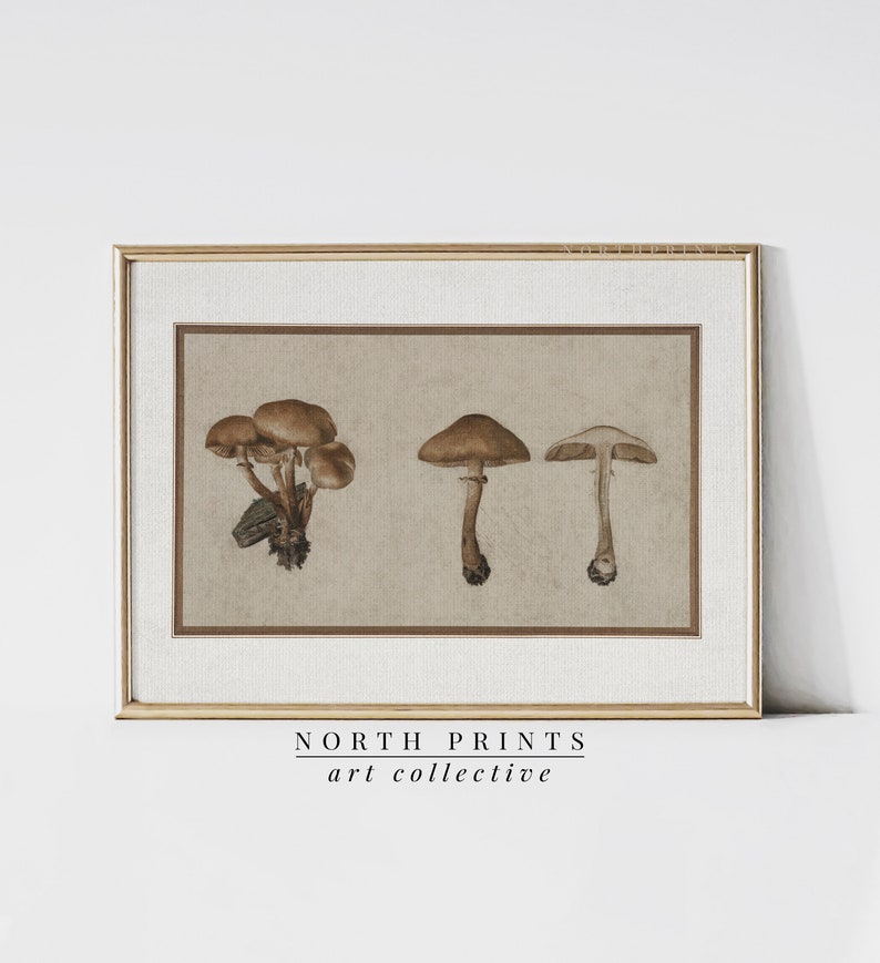 Vintage Mushroom Painting: Rustic Kitchen Wall Art (printable Digital ...