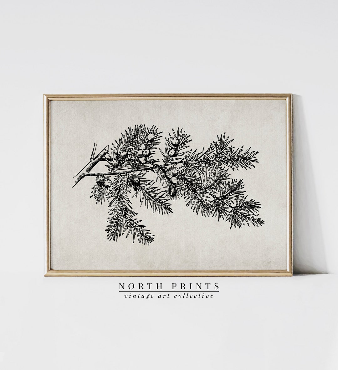 Minimalist Winter Branch Sketch PRINTABLE Art | Neutral Christmas ...