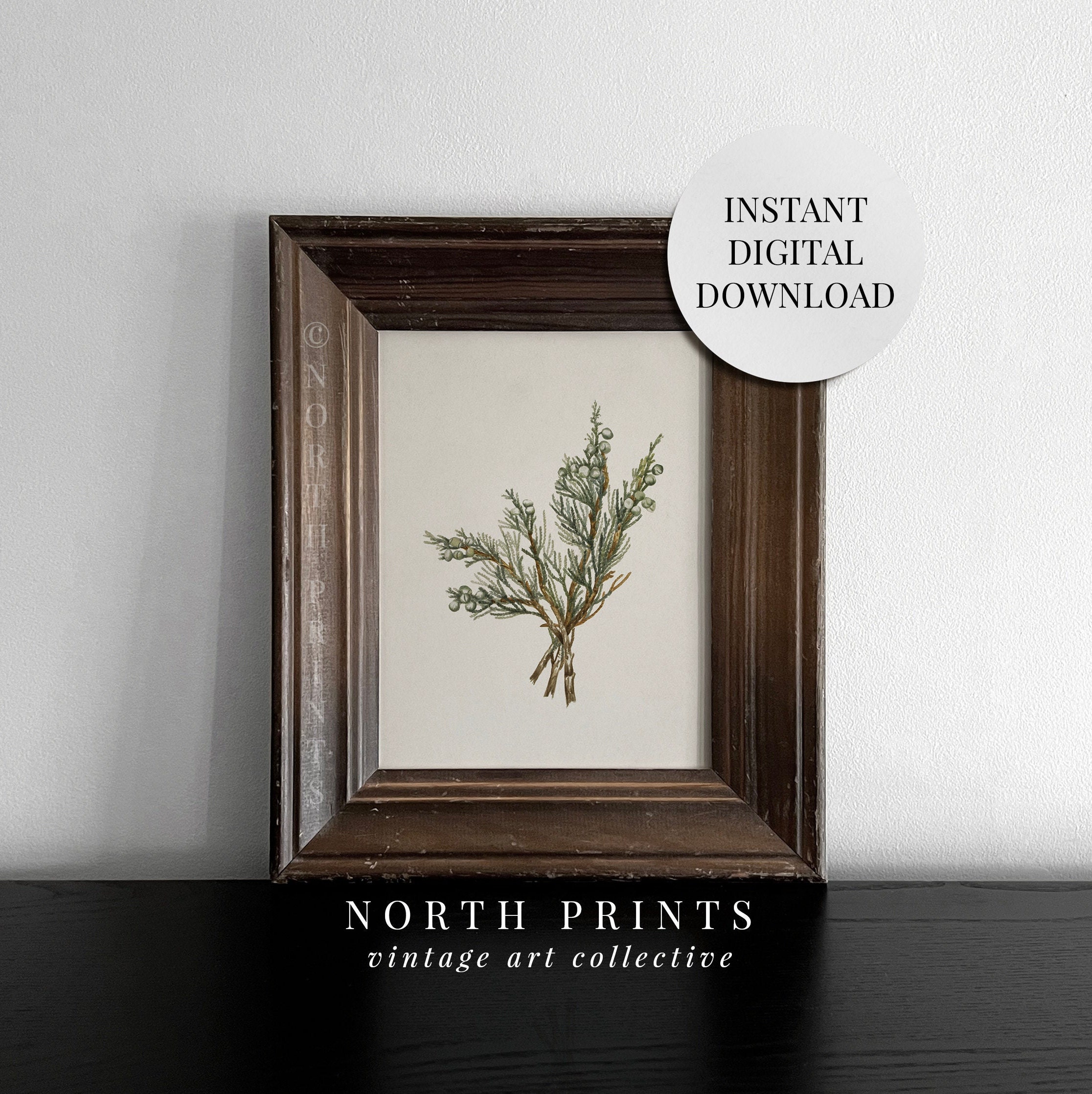 Winter Branch Art Print | Country Christmas Holiday PRINTABLE ...