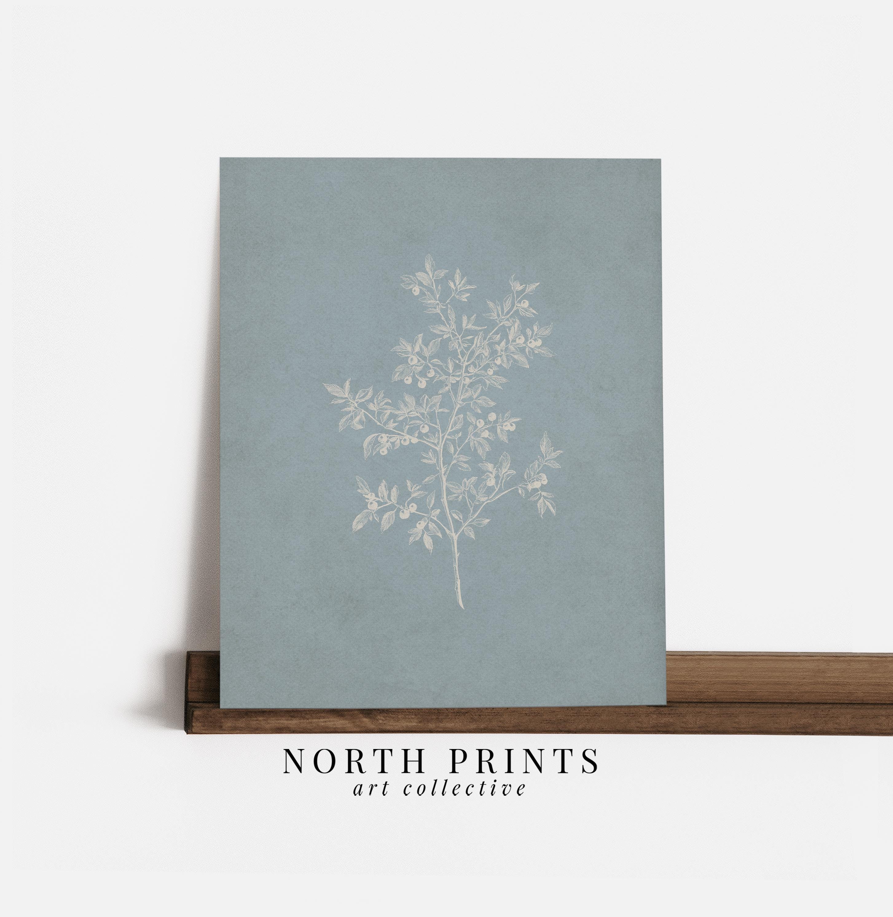 Antique Blue Botanical Branch Print: Minimalist Farmhouse Wall Art ...