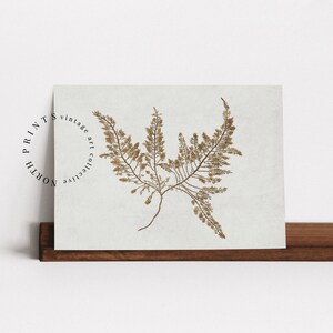 PRINTABLE Vintage Gallery Wall Art SET of Seven | Antique Prints Warm ...