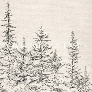 Rustic Woodland Pine Tree Minimalist Sketch Art PRINTABLE Neutral ...