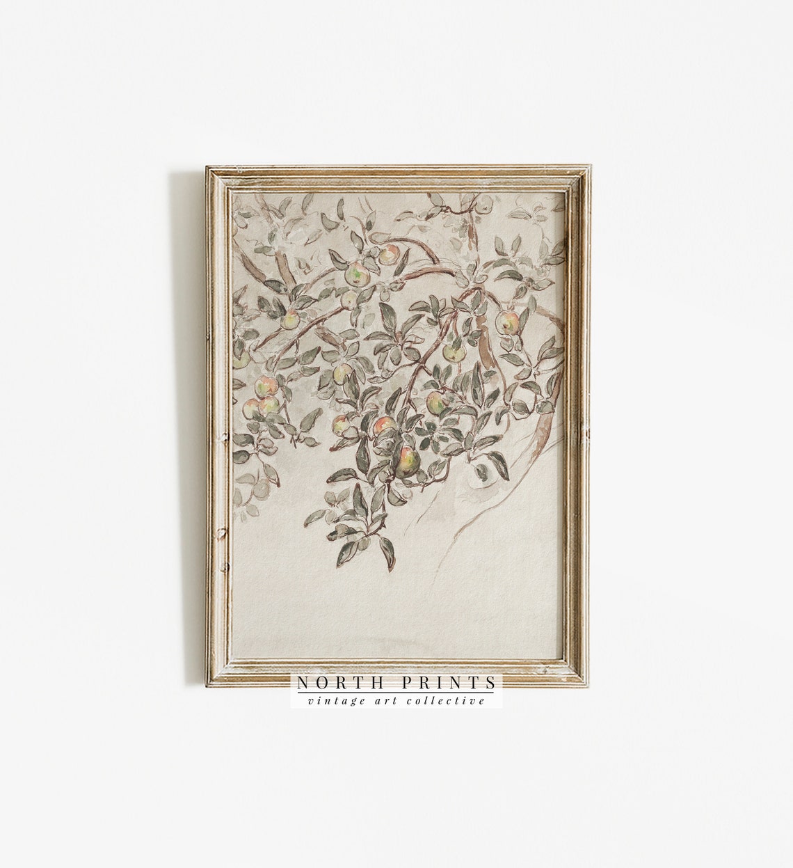 Vintage Apple Tree Print Neutral Farmhouse Wall Art - Etsy