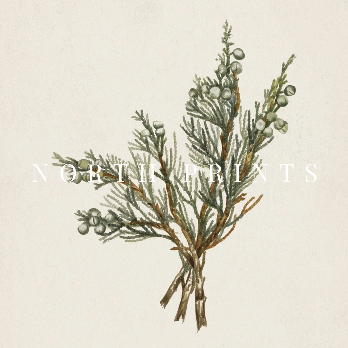 Winter Branch Art Print Country Christmas Holiday PRINTABLE - Etsy