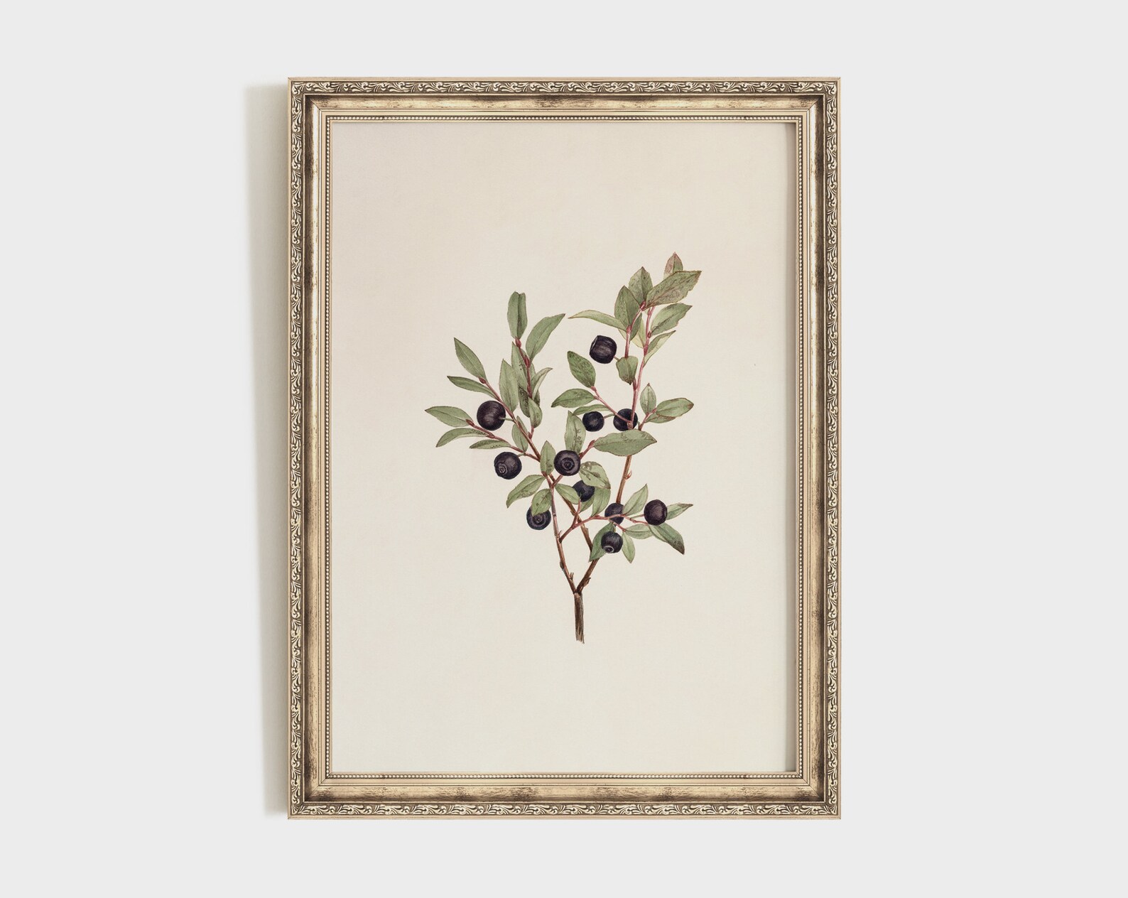 Vintage Botanical Print | Antique Berry Country Farmhouse Watercolor ...