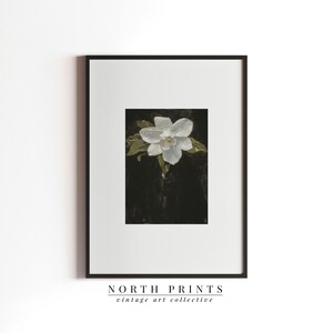 Dark Vintage Magnolia Painting | Green Wall Art | Moody Farmhouse ...