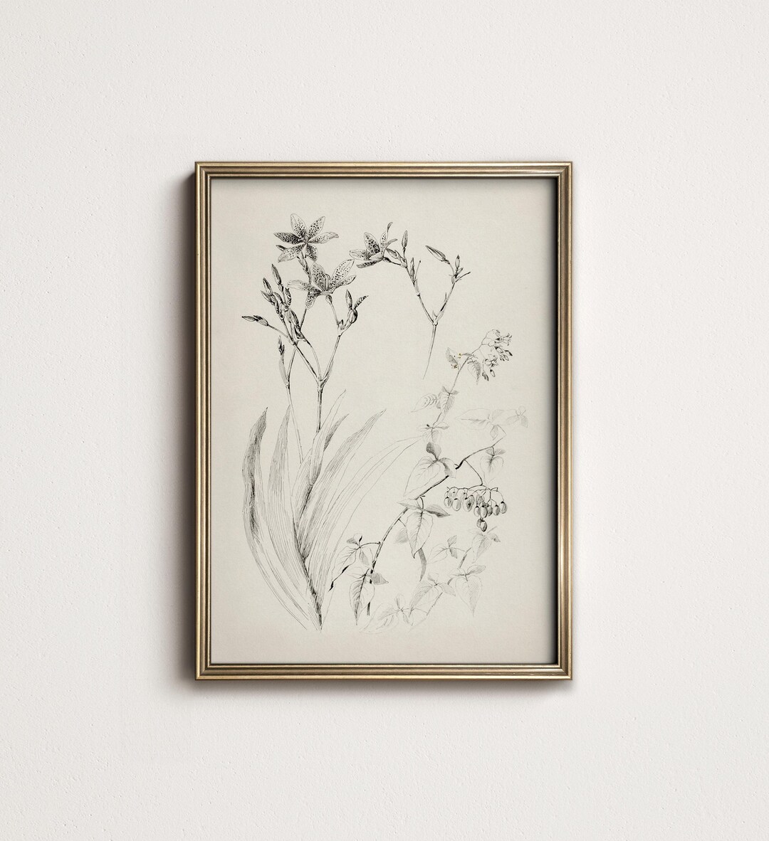 Botanical Line Art Print: Scandinavian Farmhouse Decor (printable ...