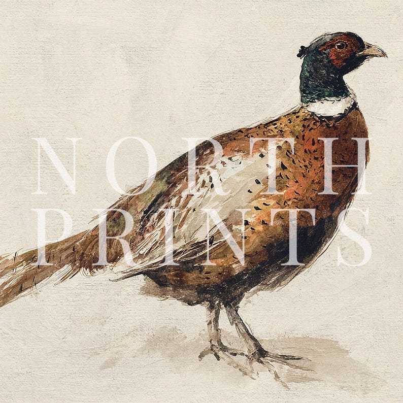 Vintage Pheasant Wall Art, Rustic Wildlife Bird Painting, Autumn ...