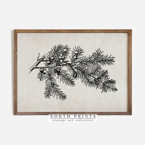 Minimalist Winter Branch Sketch PRINTABLE Art | Neutral Christmas ...