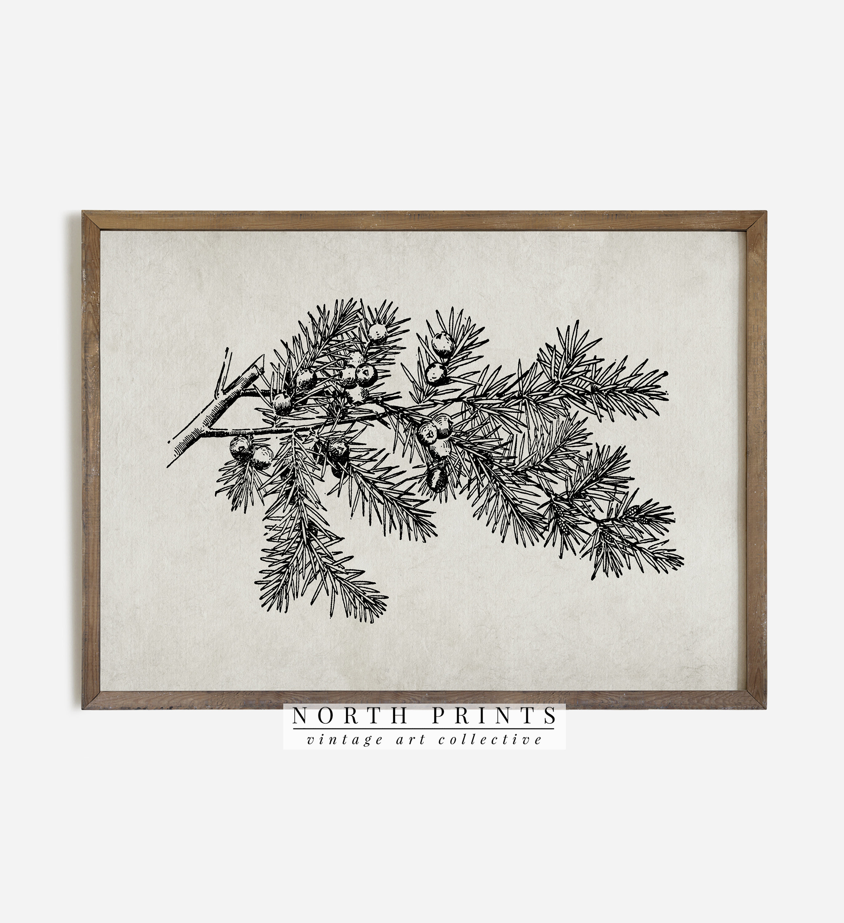 Minimalist Winter Branch Sketch PRINTABLE Art | Neutral Christmas ...