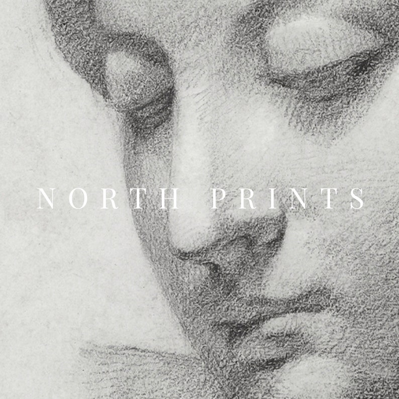 Antique Female Portrait Study Vintage Sketch Art Drawing - Etsy