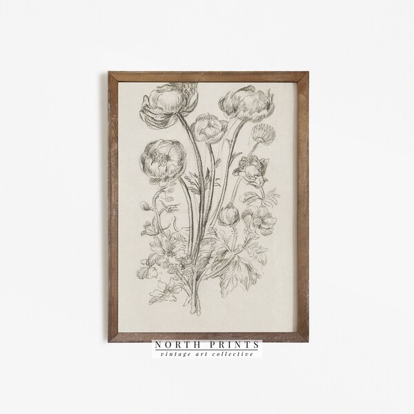 Botanical Drawing - Etsy