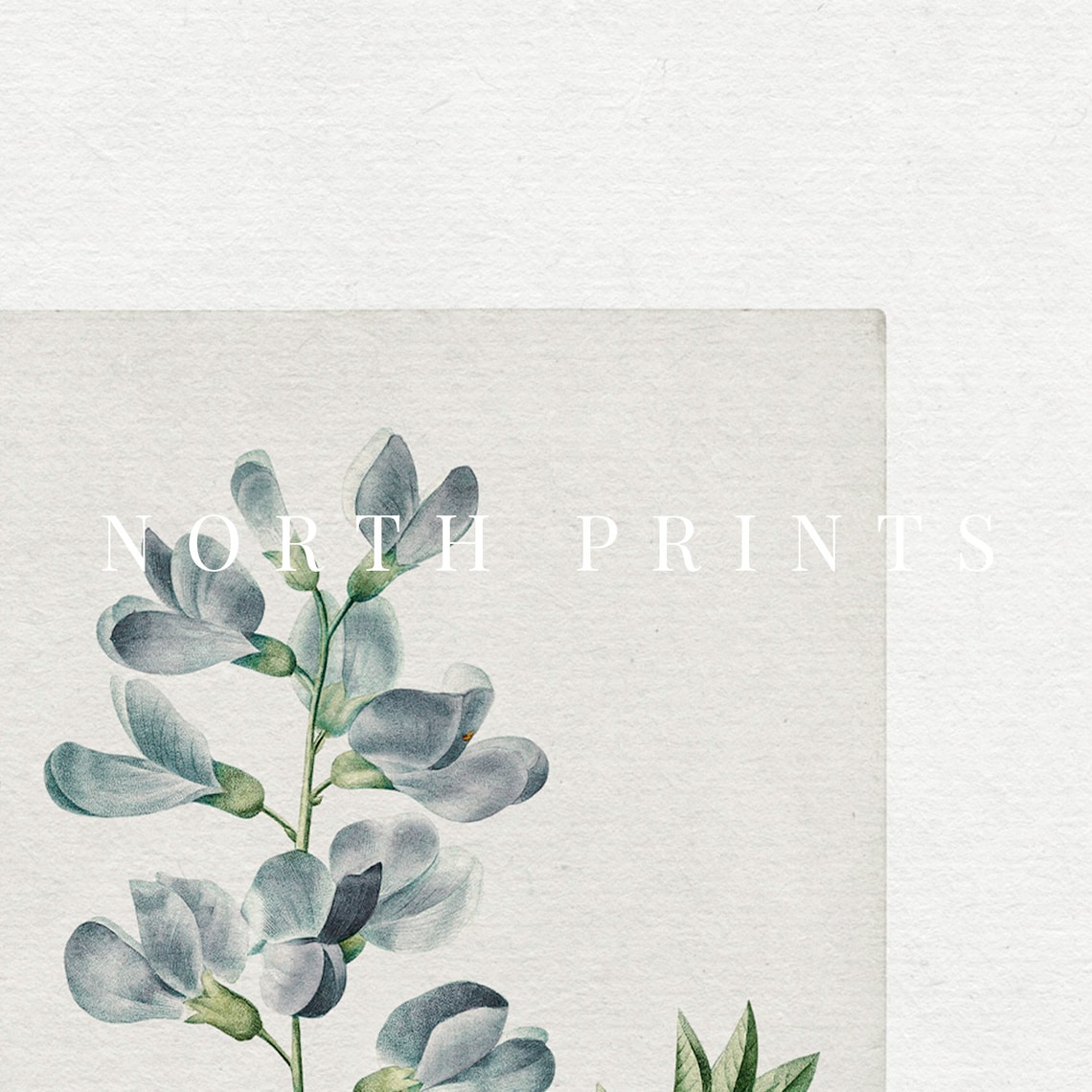 Farmhouse Botanical Print Vintage Blue Flower Watercolor - Etsy