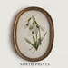 A4 Snowdrop Blue Cyanotype Print - Etsy UK