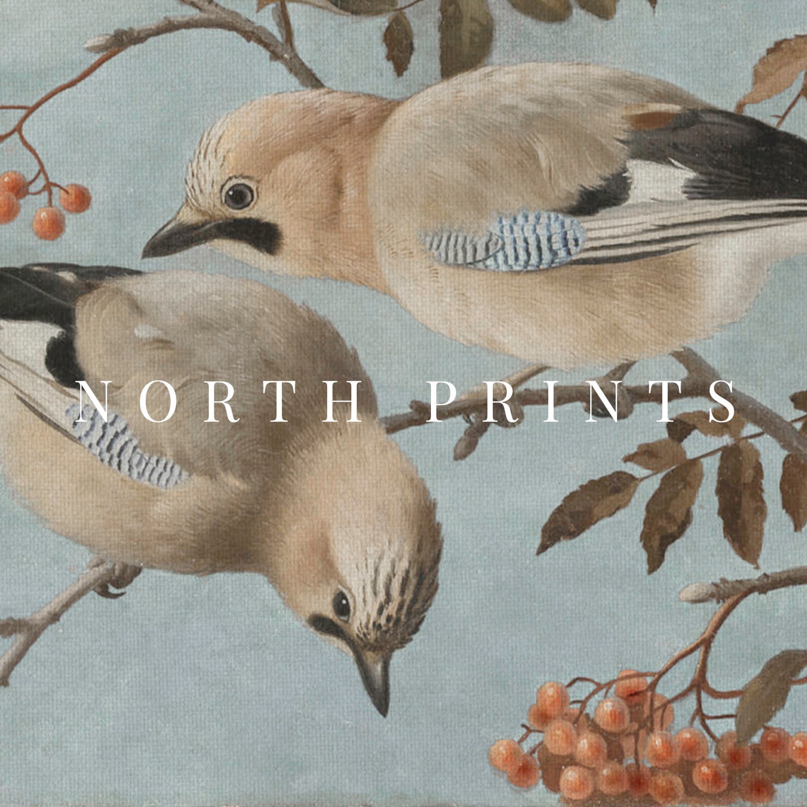 Antique Bird Art Print Vintage Farmhouse Decor Nursery PRINTABLE ...