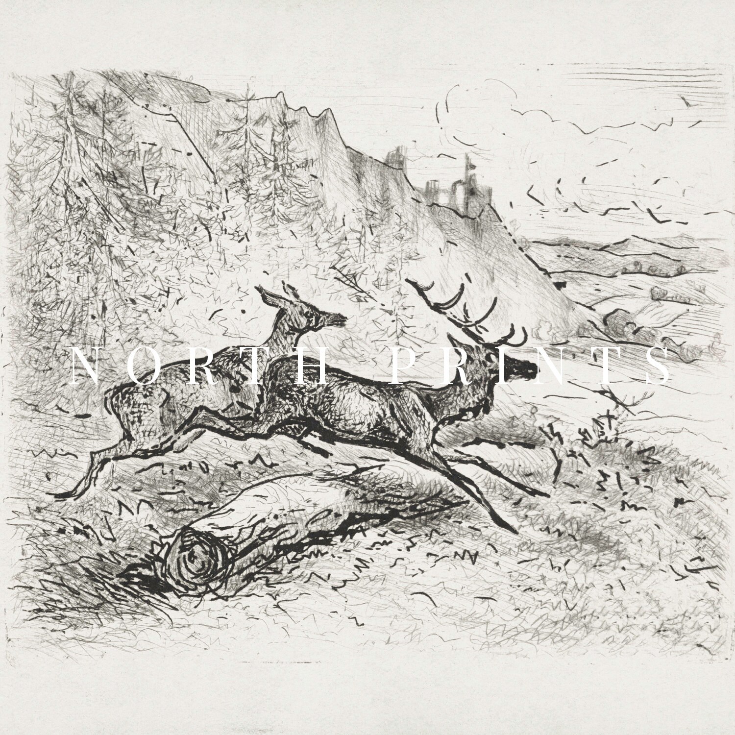 Rustic Vintage Deer Sketch Nursery Woodland Drawing Neutral | Etsy