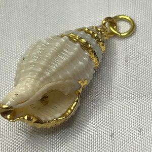 Vintage White Spiraled Conch Shell W/gold Hand Painted Accents H-1.2 ...