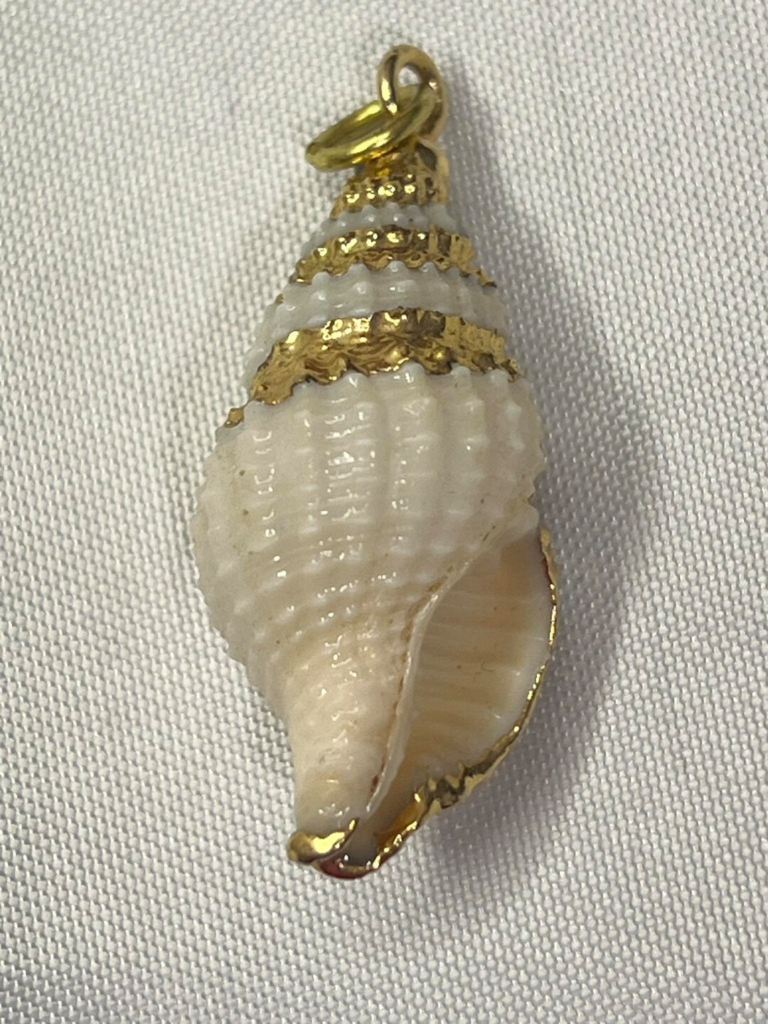 Vintage White Spiraled Conch Shell W/gold Hand Painted Accents H-1.2 ...