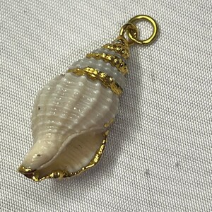 Vintage White Spiraled Conch Shell W/gold Hand Painted Accents H-1.2 ...
