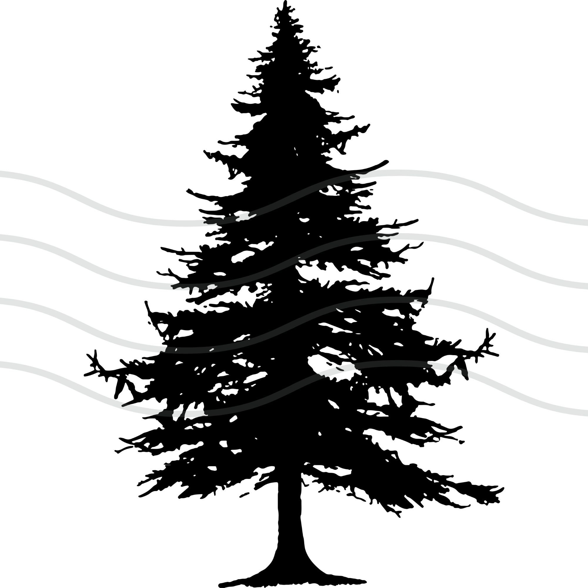 Evergreen Tree Trees Svgs Pngs Plasma Laser SVG Silhouette Cuttable ...