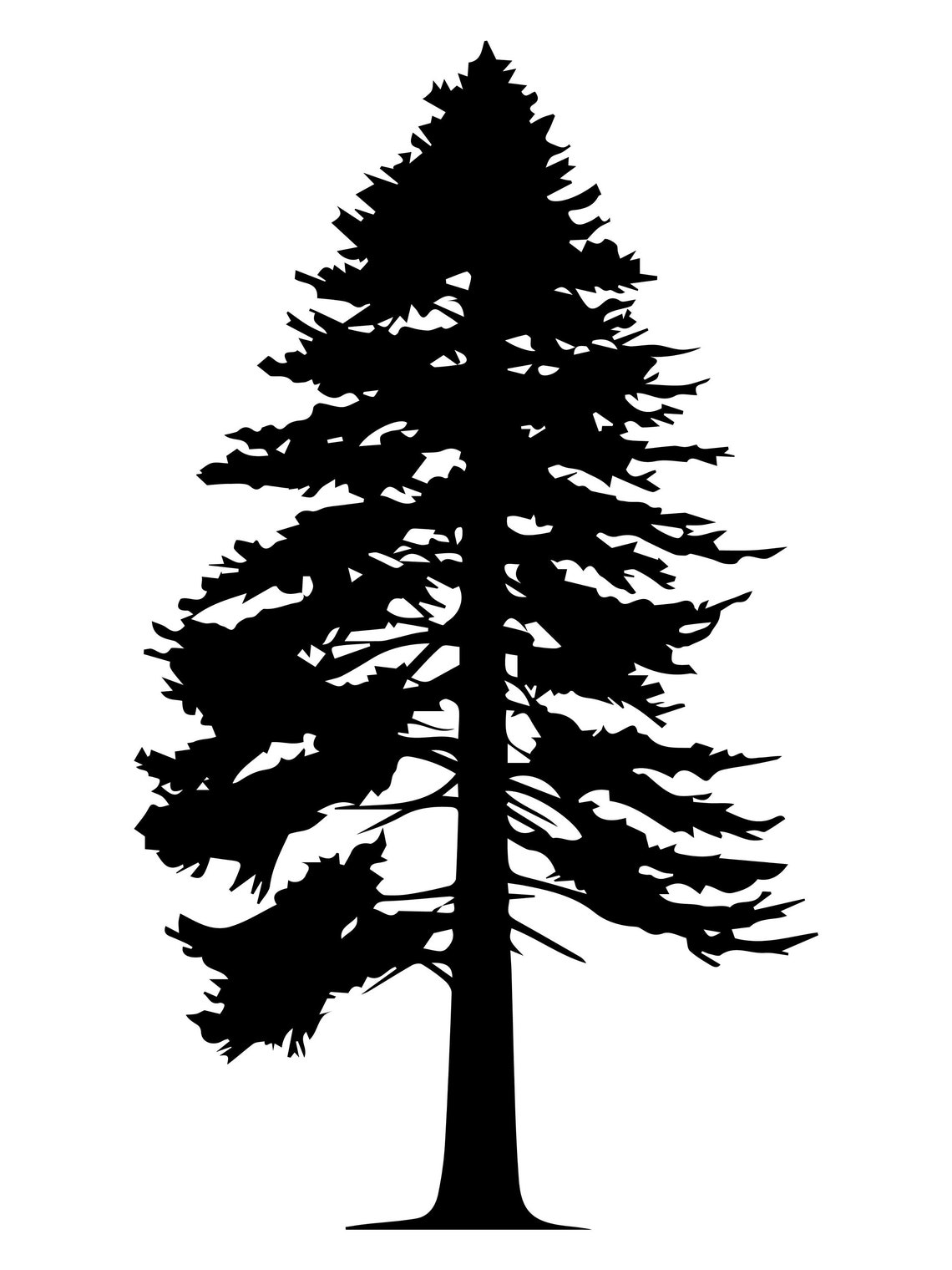 Redwood Tree SVG Digital Downloads Evergreen Trees Redwood Tree PNG ...