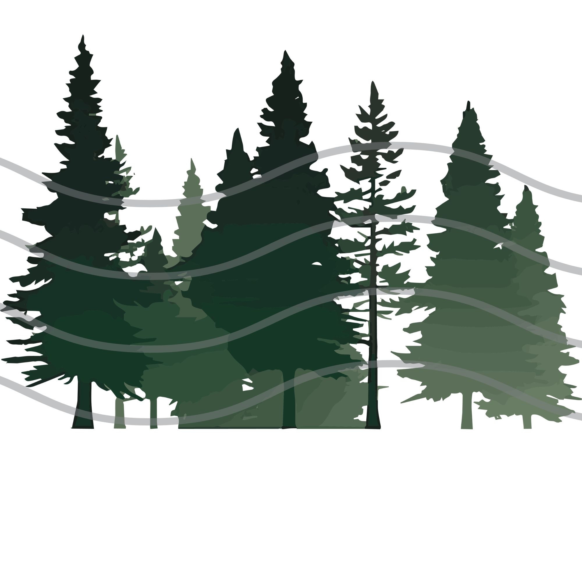 Evergreen Tree Trees Svgs Pngs Plasma Laser SVG Silhouette Cuttable ...