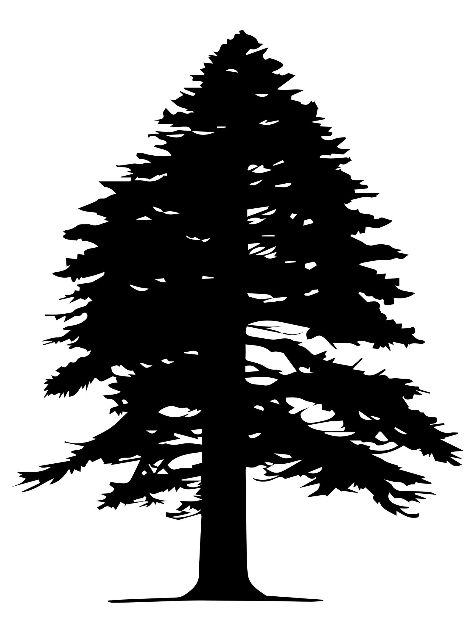 Redwood Tree SVG Digital Downloads Evergreen Trees Redwood Tree PNG ...