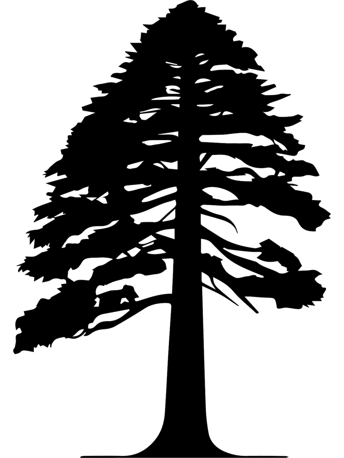 Redwood Tree SVG Digital Downloads Evergreen Trees Redwood Tree PNG ...
