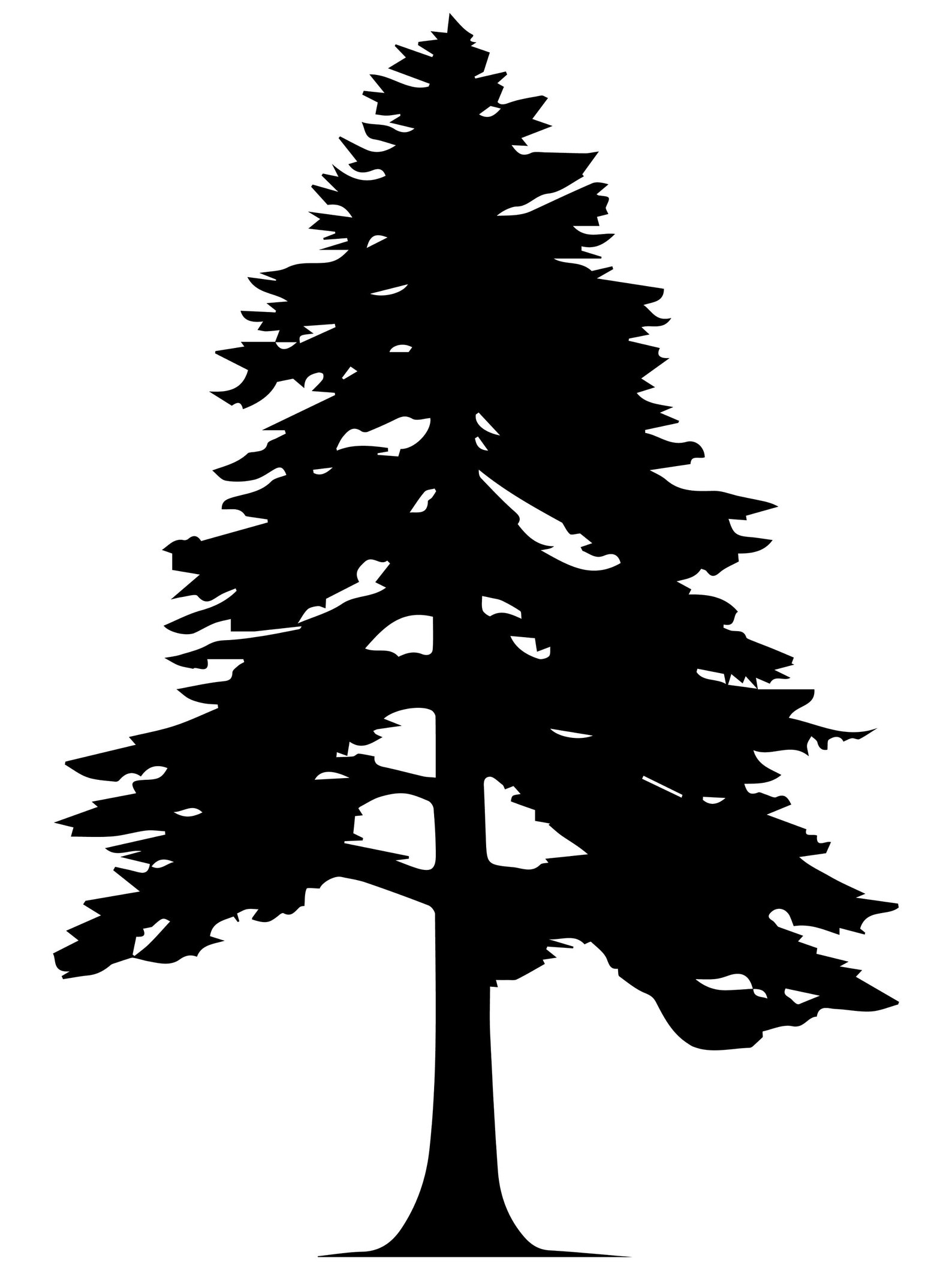 Redwood Tree SVG Digital Downloads Evergreen Trees Redwood Tree PNG ...