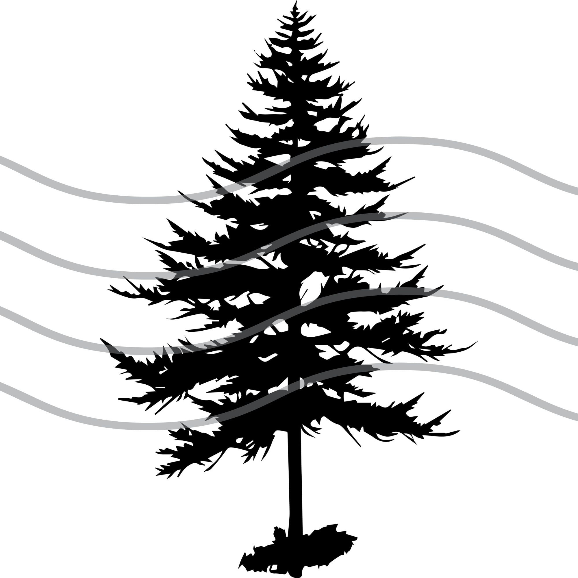 Evergreen Tree Trees Svgs Pngs Plasma Laser SVG Silhouette Cuttable ...