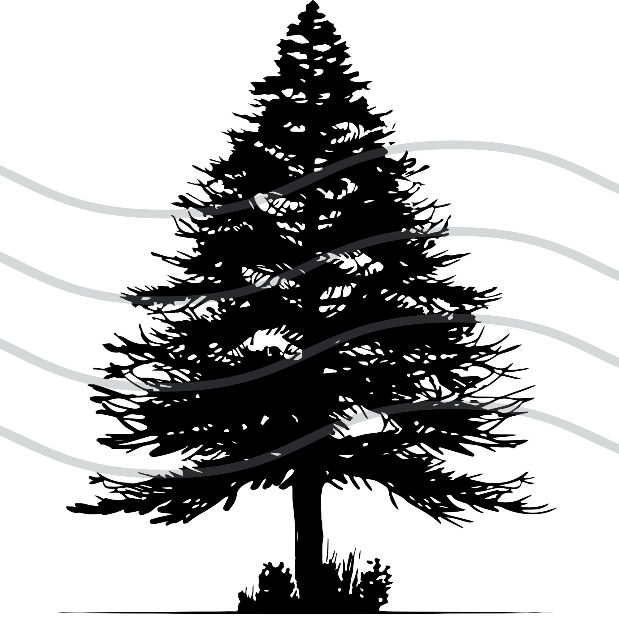 Evergreen Tree Trees Svgs Pngs Plasma Laser SVG Silhouette Cuttable ...