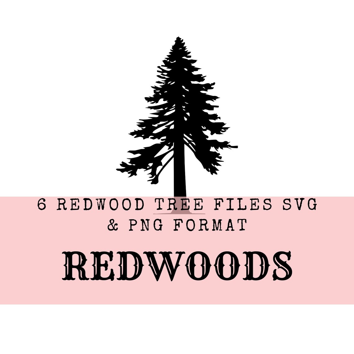 Redwood Tree SVG Digital Downloads Evergreen Trees Redwood Tree PNG ...