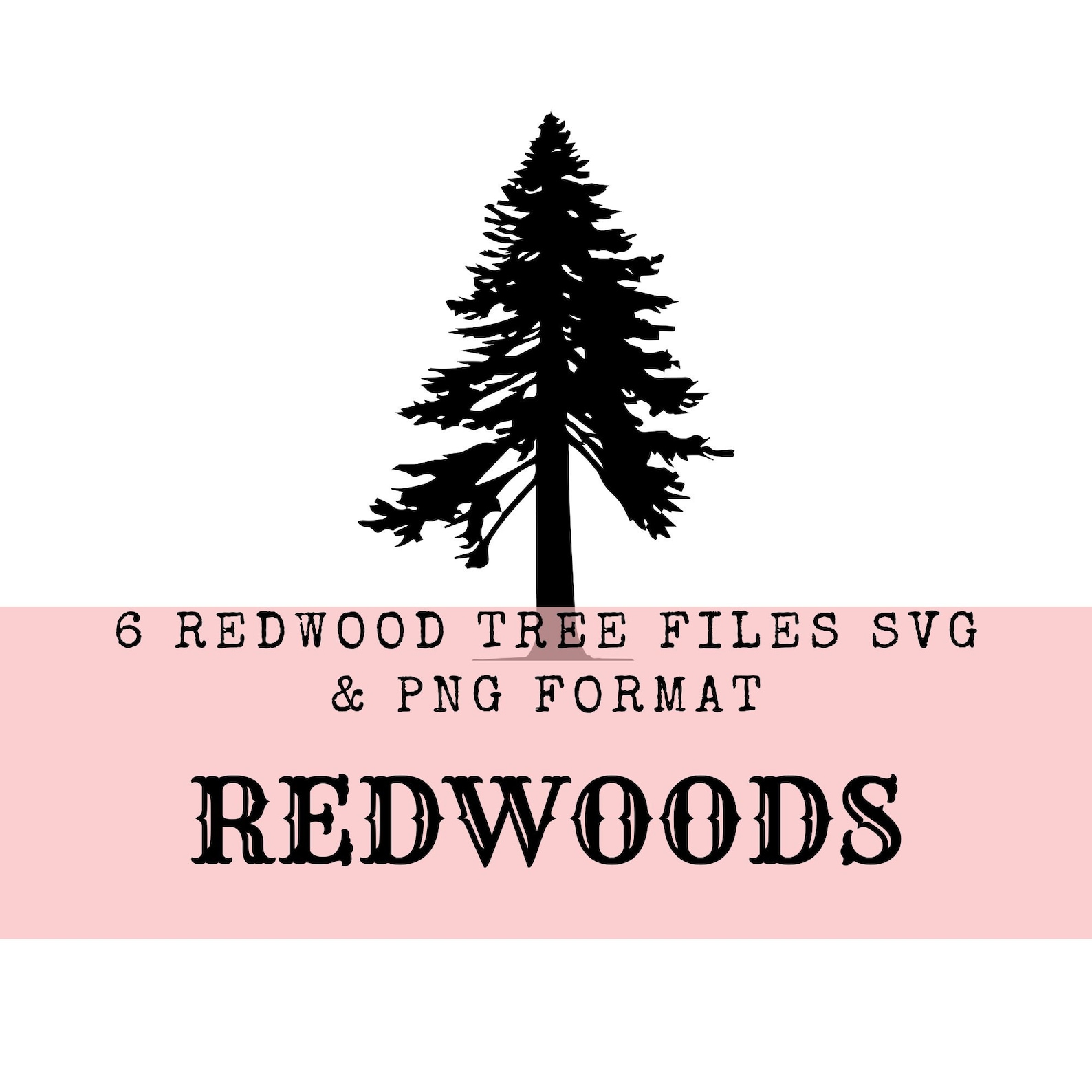 Redwood Tree SVG Digital Downloads Evergreen Trees Redwood Tree PNG ...
