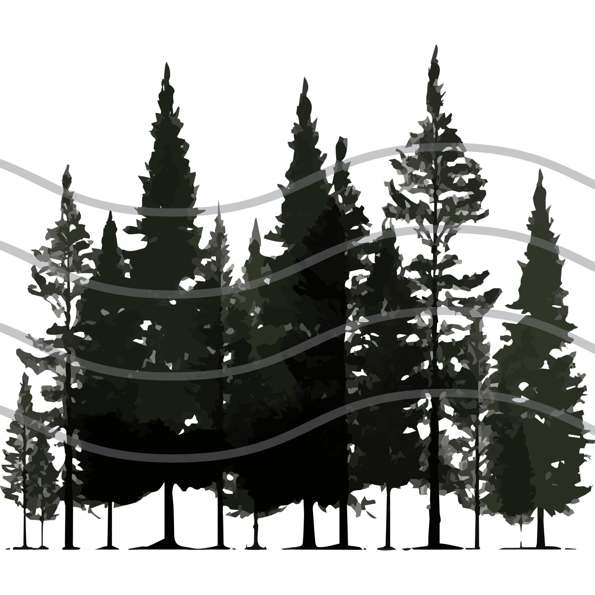 Evergreen Tree Trees Svgs Pngs Plasma Laser SVG Silhouette Cuttable ...