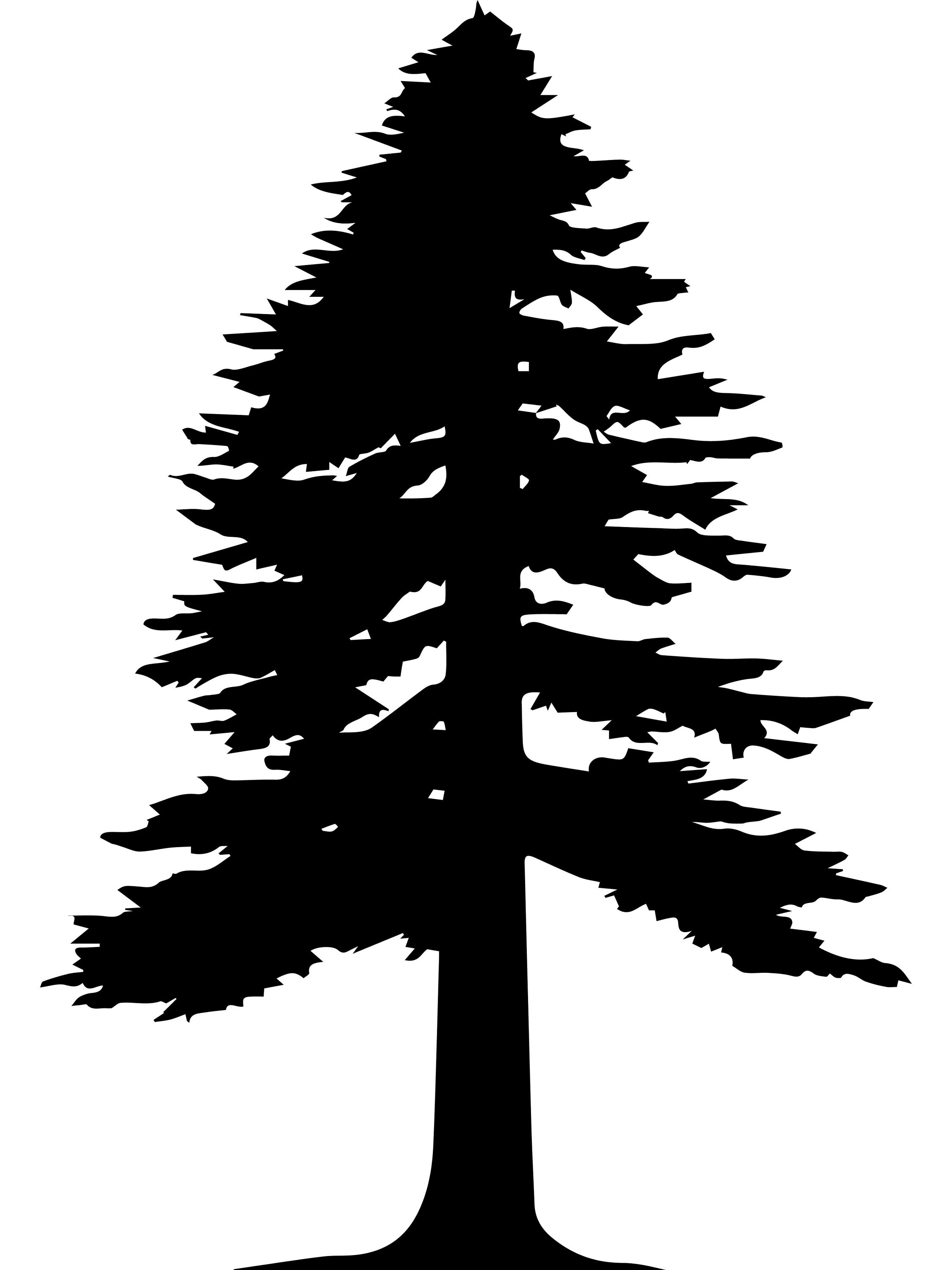 Redwood Tree SVG Digital Downloads Evergreen Trees Redwood Tree PNG ...